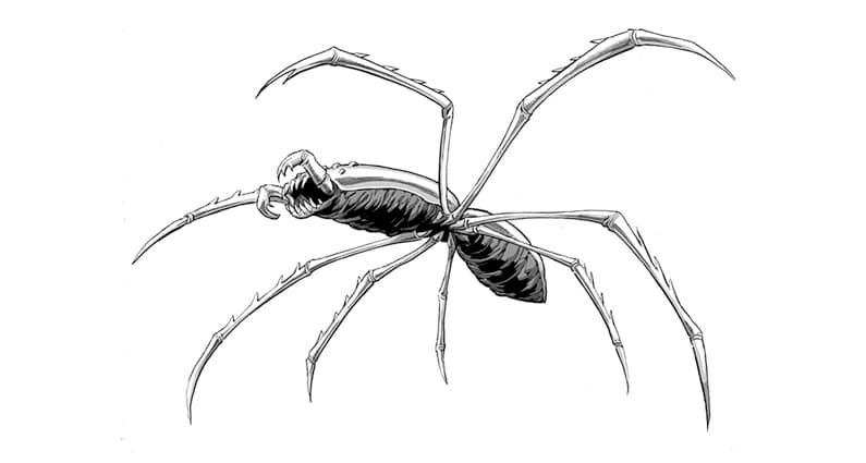 Creatures of the Outlands: Solar Spiders by Christopher Wasko – outland ...